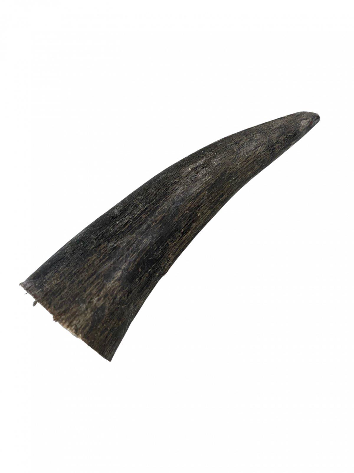 Okse horn large - Okse - Carnitreats.dk